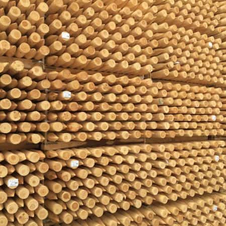 SurePine™ Peeled Pointed Stakes > Woodbank Timber