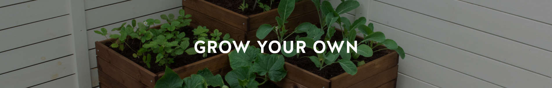 Grow Your Own > Woodbank Timber